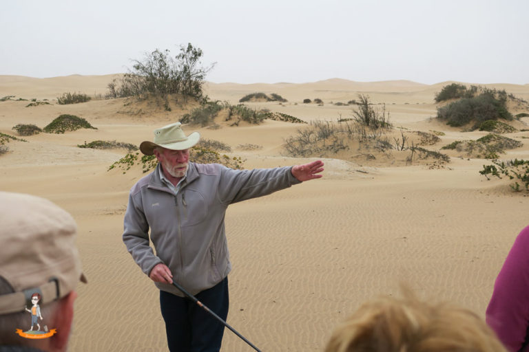 Living Desert Namibia - Auf der Suche nach den Little Five